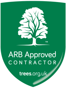 Contact - Tree Craft Ltd