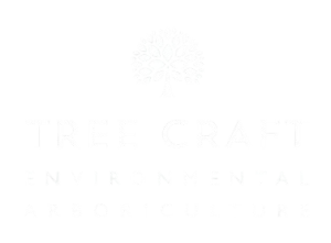 Tree Craft Ltd | Tree Surgeon Sevenoaks | Tree Felling & Removal | Hedge Maintenance | Tree ...